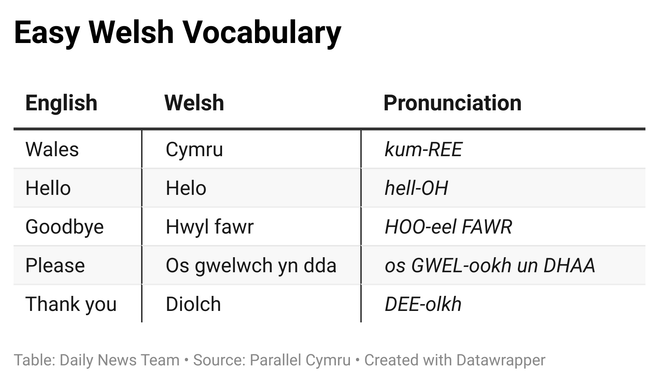 Cymraeg: An Introduction to the Welsh Language | Engoo 每日新聞