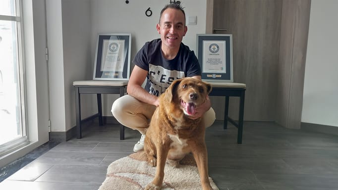 World's Oldest Dog Ever Dies in Portugal, Aged 31 | Engoo Daily News