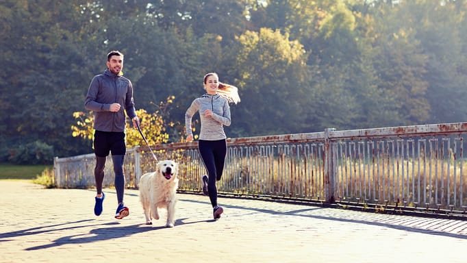 Speaking Practice 1 | Engoo