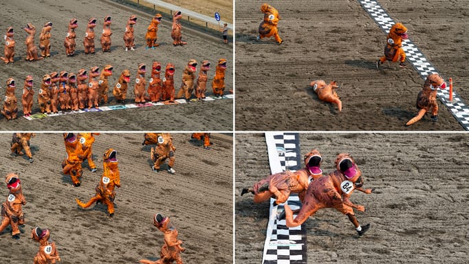 200 'Dinosaurs' Take Part in World Championships Race | Engoo 데일리뉴스