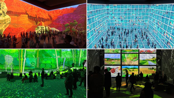 New Hockney Exhibit Lets You Step Inside His Paintings | Engoo 每日新闻