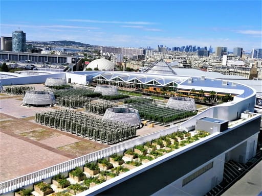 Largest Urban Farm Opens on Roof in Paris | Engoo