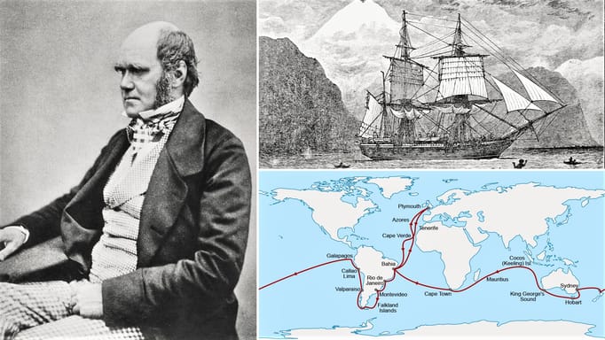 Ship Leaves UK to Retrace Darwin's Famous Voyage | Engoo Daily News