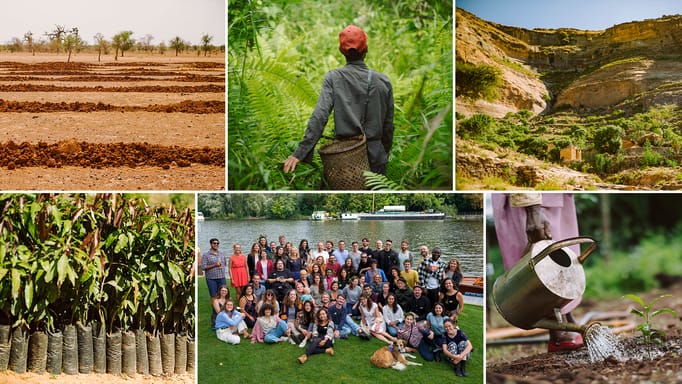 Plant Trees by Searching the Web with Ecosia | Engoo 每日新闻