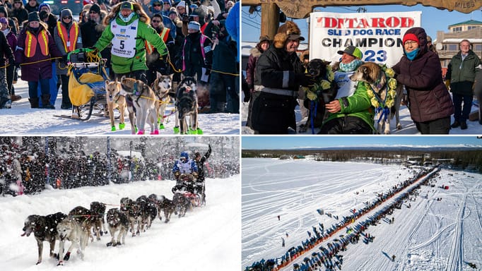 Running on Ice: Alaska's Iditarod Sled Dog Race | Engoo 每日新聞