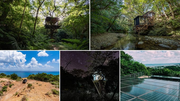 Tokyo Man Turns Childhood Dream into Treehouse Resort | Engoo