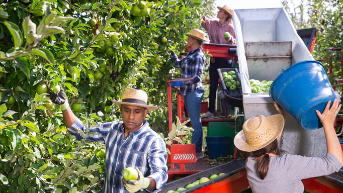 Speaking Practice 9 | Engoo