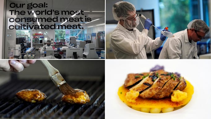 US Approves the Nation's First 'Lab-Grown' Meat | Engoo 每日新聞