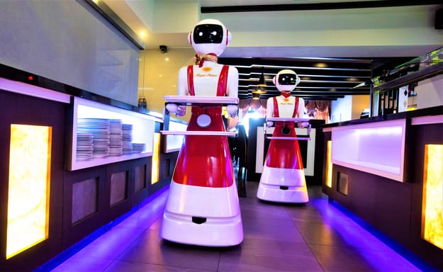 Dutch Restaurant Uses Robot Waiters | Engoo Daily News