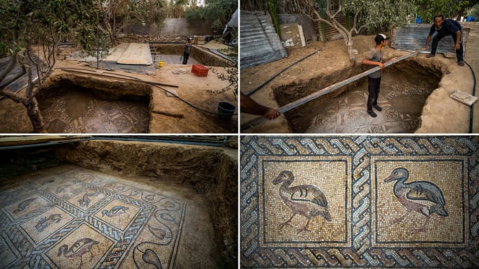 Palestinian Farmer Discovers Ancient Mosaic in Gaza | Engoo 每日新聞