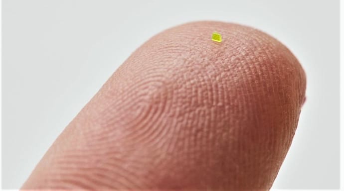 Microscopic Handbag Sells for More than $63,000 | Engoo 每日新聞