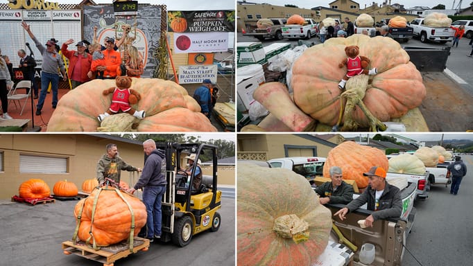 World Record Pumpkin Weighs 1,247 Kilograms | Engoo 每日新闻