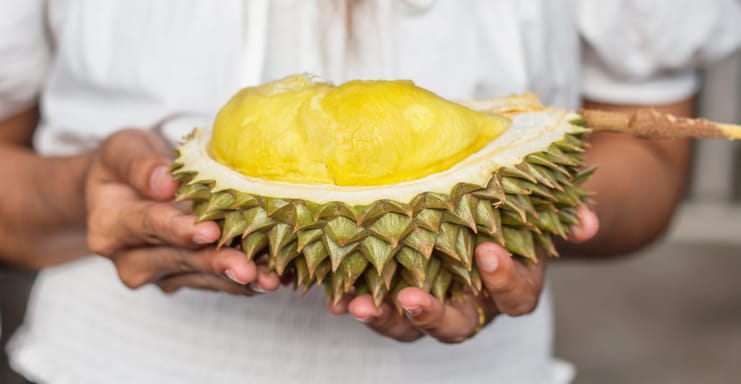 Why Does Durian Fruit Smell So Bad? | Engoo Daily News