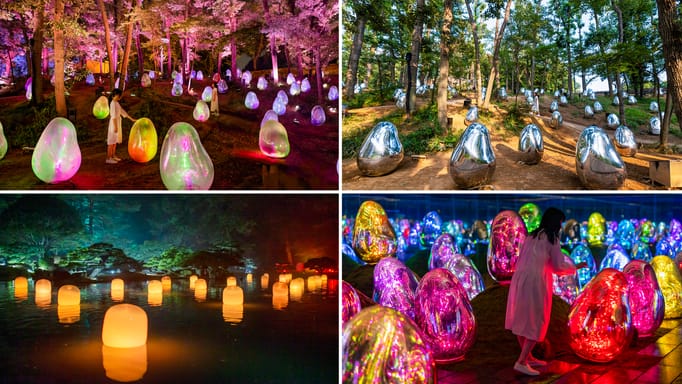 TeamLab Creating Permanent Exhibition in Osaka Park | Engoo 每日新闻