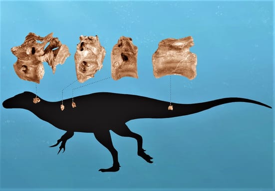 New Dinosaur Species Discovered in UK | Engoo