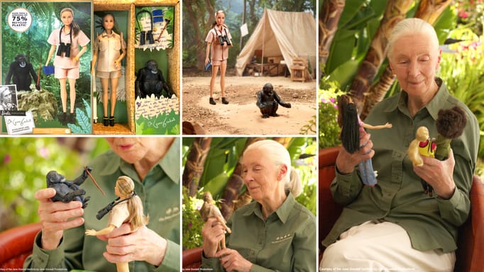 Mattel Creates Barbie Doll Based on Jane Goodall | Engoo Daily News