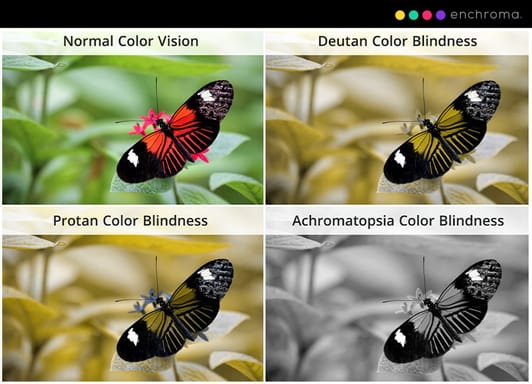 Study: Special Glasses Help Colorblind People See Colors | Engoo 每日新闻