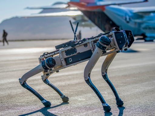Robot Dogs Join US Air Force Exercise | Engoo Daily News