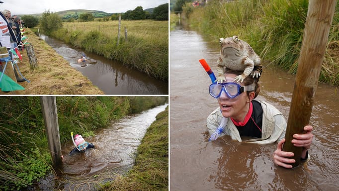 World Bog Snorkeling Championships Held in Wales | DMM英会話 デイリーニュース