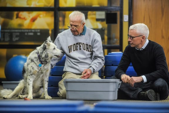 Chaser, Dog That Knew 1,000 Words, Dies at 15 | Engoo 每日新闻