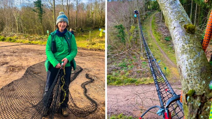 Rope Bridges Built for Mice in UK Forest | Engoo 每日新闻