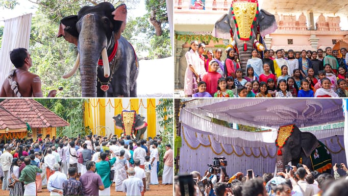 Life-Size Model Elephants Replace Real Ones in India | Engoo Daily News