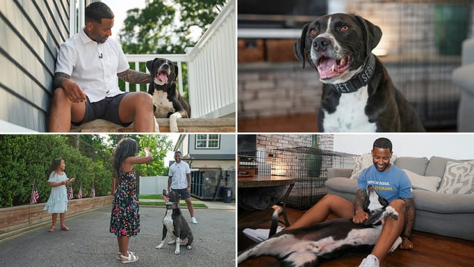 Service Dogs Help Ease Veterans' PTSD Symptoms | Engoo Daily News