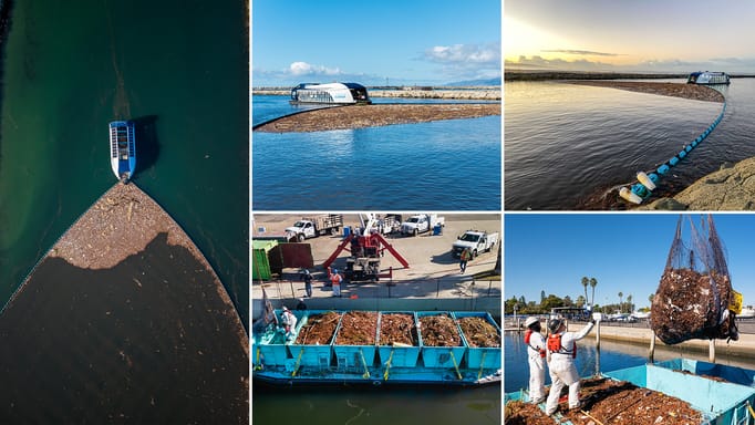 Solar-Powered Boat Stops Plastic Reaching the Sea | Engoo Daily News
