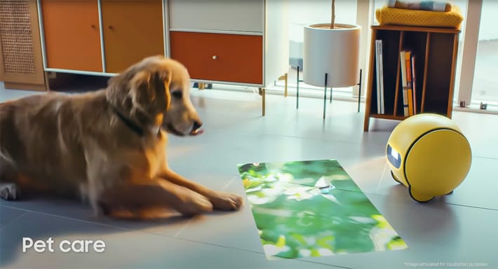 Samsung Introduces Ball-Shaped Home Robot | Engoo Daily News