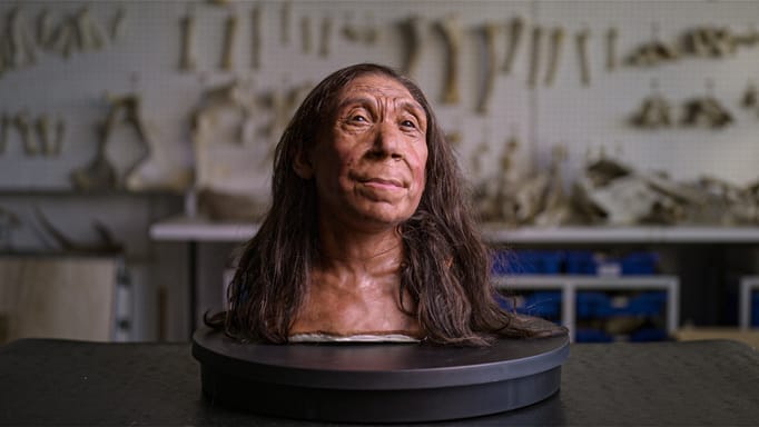 Science or Art? The Story of a 75,000-Year-Old Face | Engoo 每日新聞