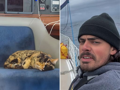 American Quits Job to Sail to Hawaii with His Cat | Engoo Daily News