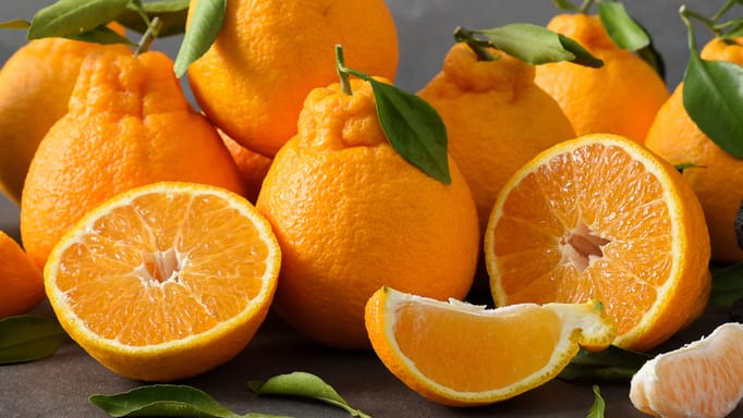 Sweet, Bitter, Tart: Four Special Fruits from Japan | Engoo Daily News