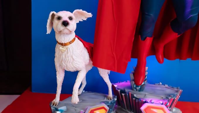 Superman's Krypto Drives Dog Adoption Interest | Engoo Daily News