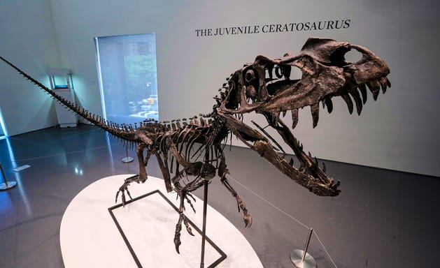 Largest Piece of Mars on Earth Sold for $5M | Engoo Daily News