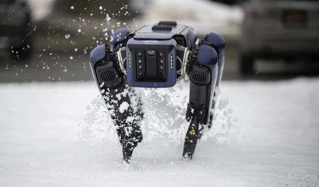 Robot in Disguise to Scare Wildlife from Alaska Airport | Engoo Daily News