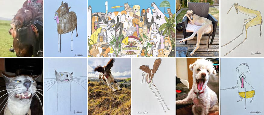 'Rubbish' Pet Artist Raises $520,000 for Charity | Engoo Daily News