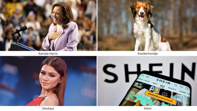 Kamala, Shein: The Words We Mispronounced in 2024 | Engoo Daily News