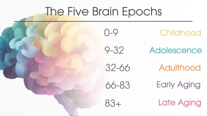 Brain May Not Reach Adulthood Until 32 — Study | Engoo 每日新聞