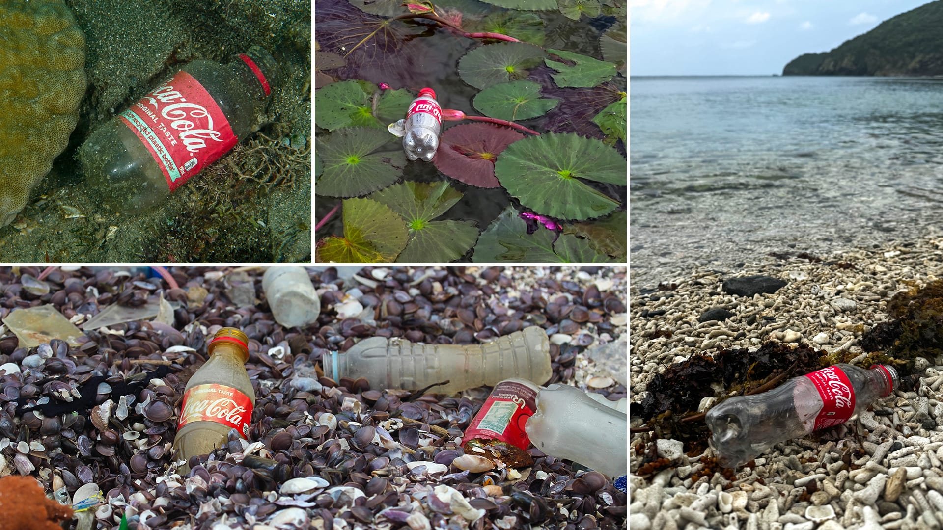 coca cola plastic pollution