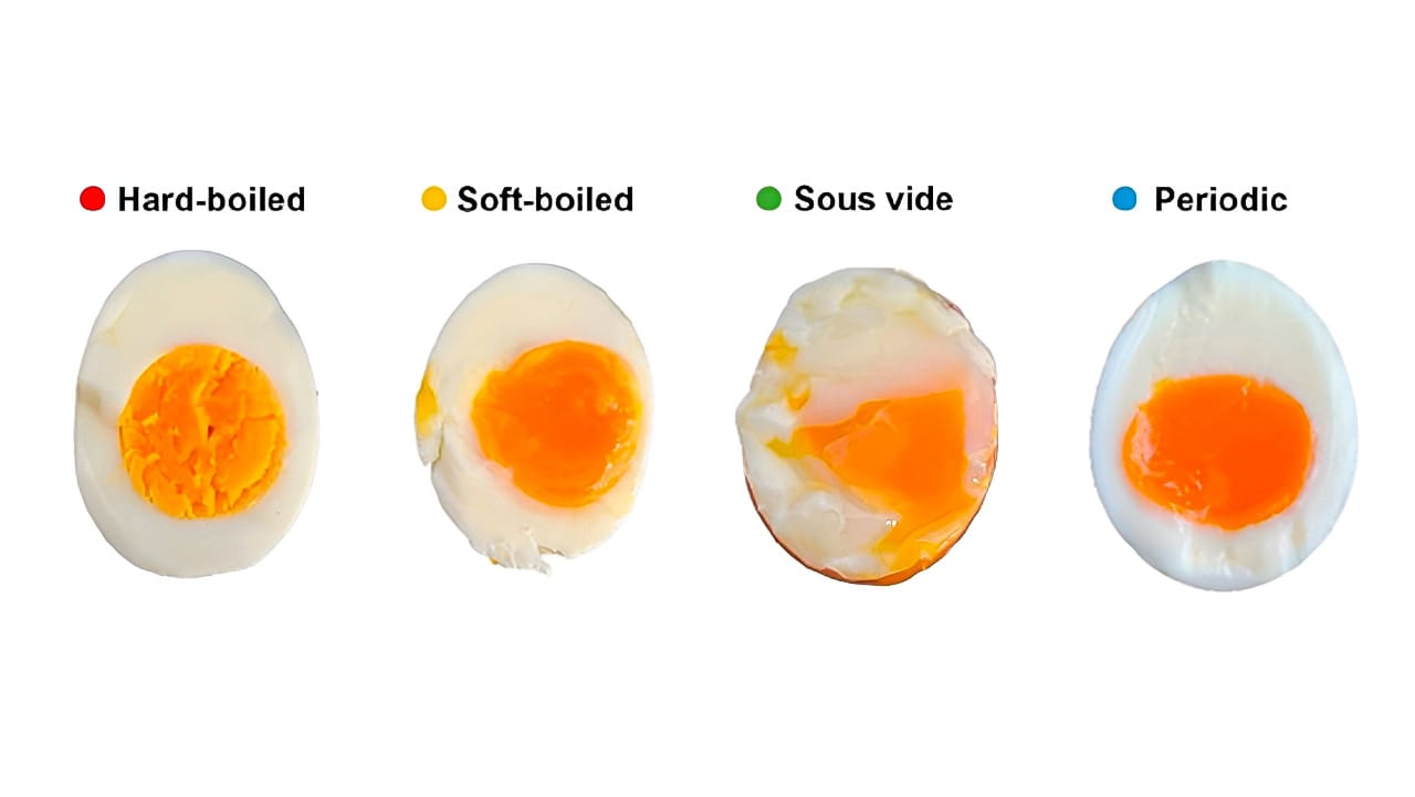 how to boil an egg paragraph