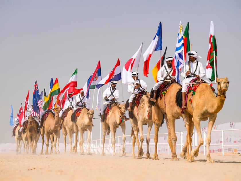 Camels Compete in Qatar's 'Camel World Cup' | DMM英会話 デイリーニュース