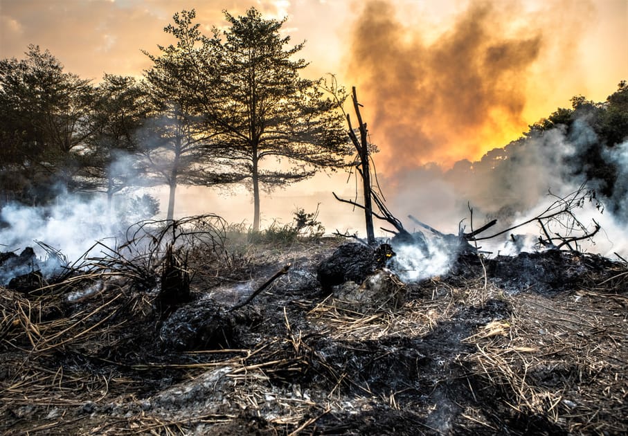 UN: Climate Change Means More Weather Disasters Every Year | Engoo 每日新聞