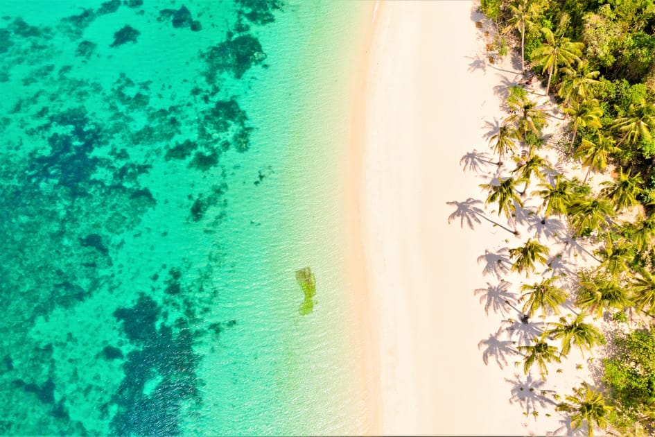 Half of World’s Beaches in Danger from Climate Change | Engoo 每日新聞