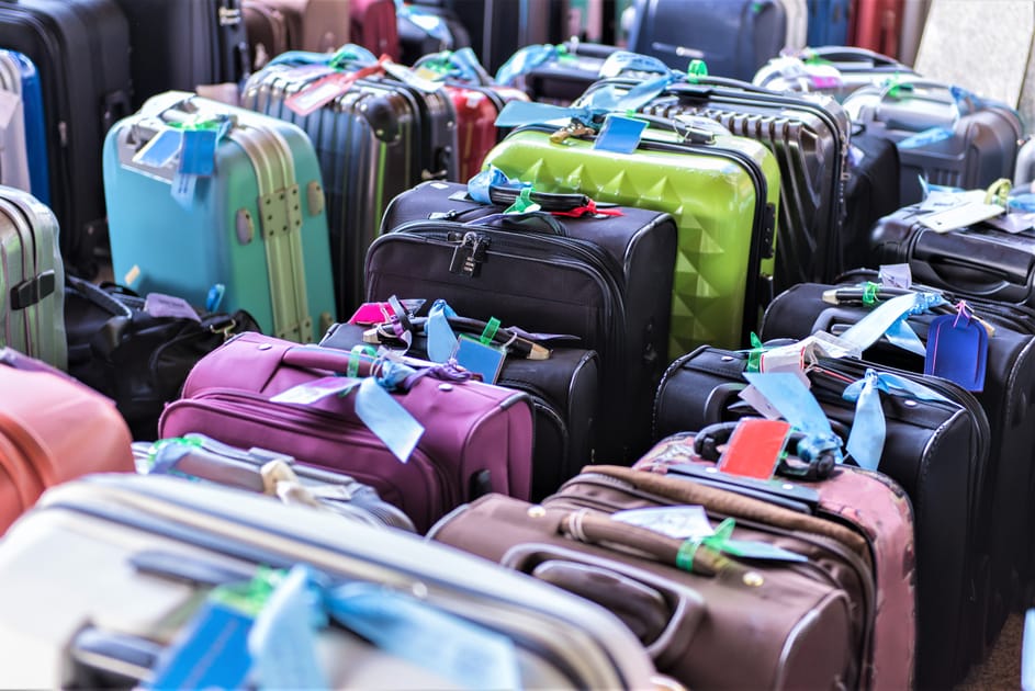 Man in Peru Caught with 20 Rare Birds in Suitcase | Engoo 每日新聞