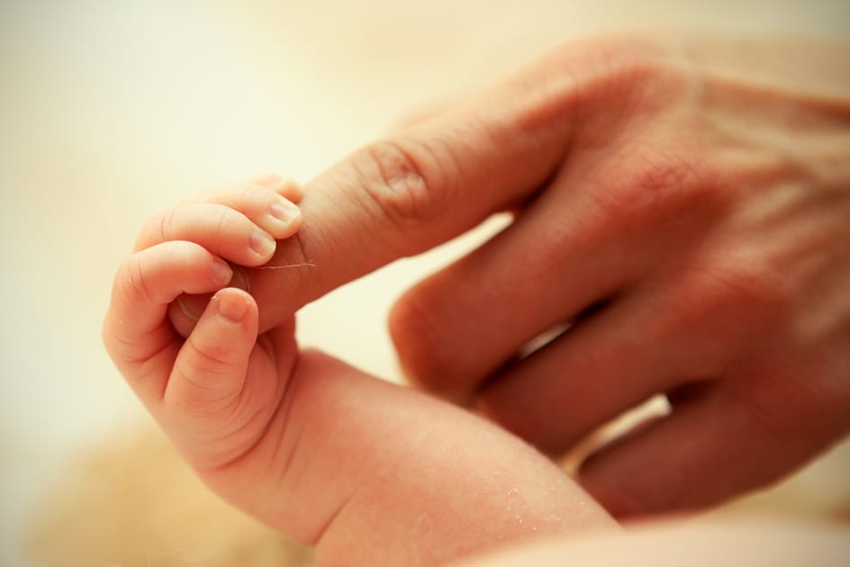 Signs of Evolution You Can Find on Your Body | Engoo Daily News