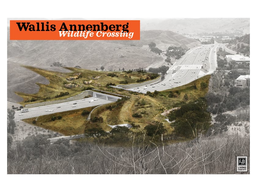'World's Largest Wildlife Crossing' to Be Built in California | Engoo ...