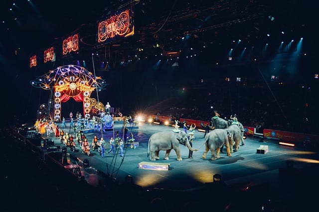 Look Up to See Future of the Circus | Engoo 每日新聞