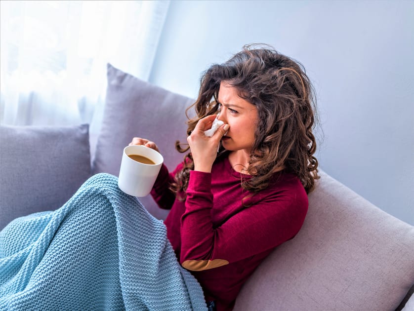 Study: A Cold Nose Is Worse at Fighting Viruses | Engoo Daily News