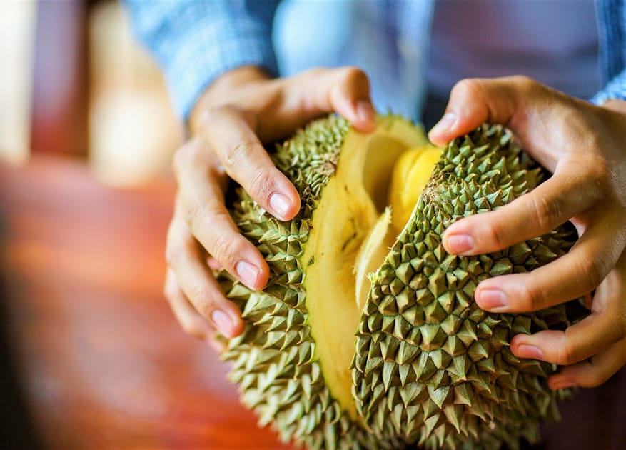 Smelly Fruit Sends 6 Post Office Workers to Hospital | Engoo 每日新聞