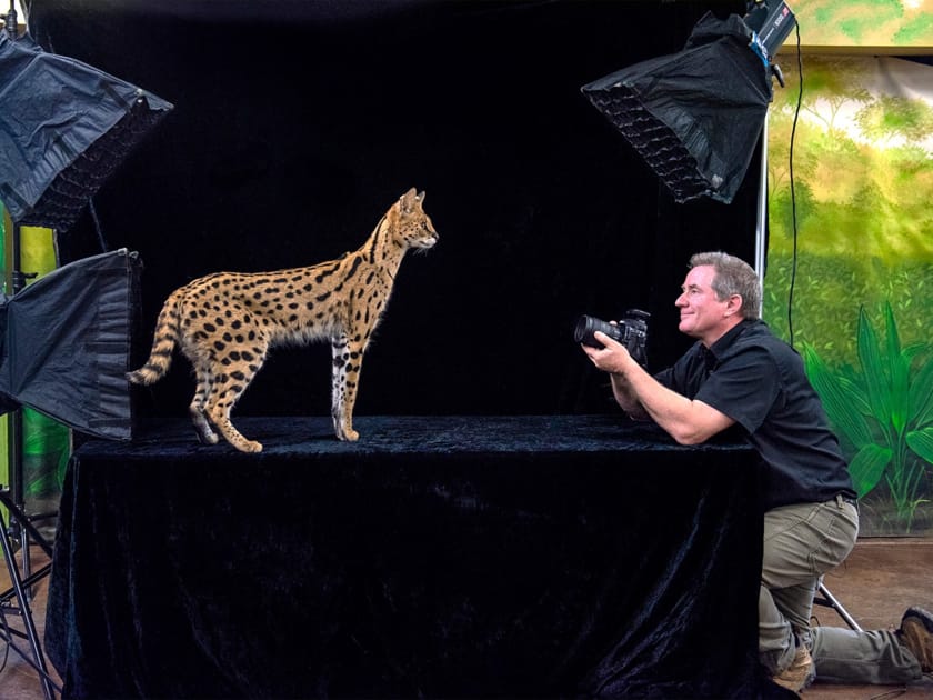 Photographer Hopes to Save Animals with 'Photo Ark' | ข่าวประจำวัน Engoo